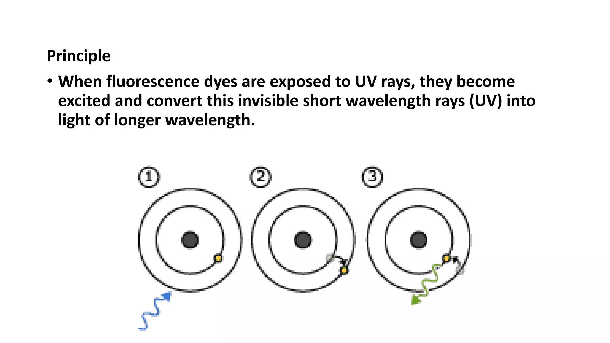 Fluorescence microscope | PPTX