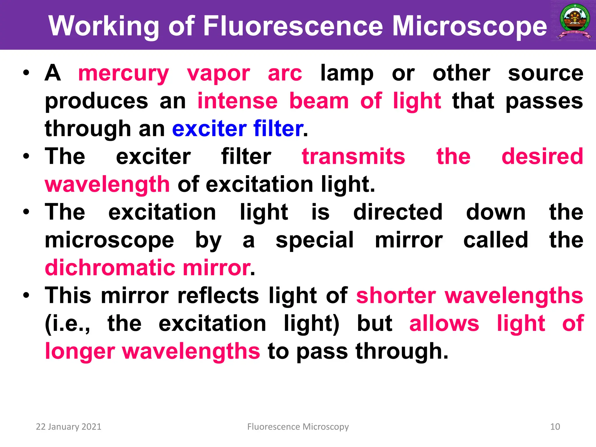 Fluorescence Microscope.pdf fluorescent microscopy | PDF