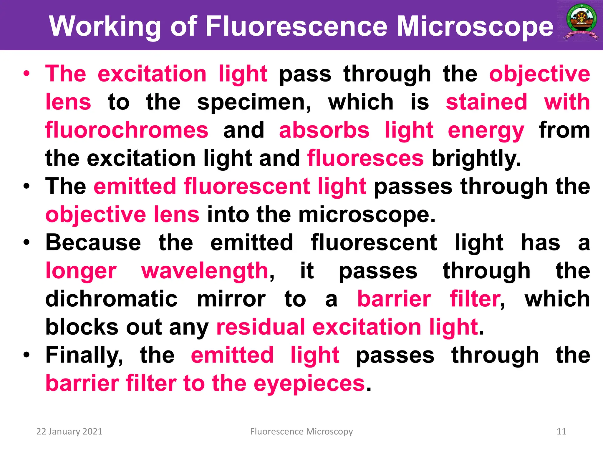 Fluorescence Microscope.pdf fluorescent microscopy | PDF