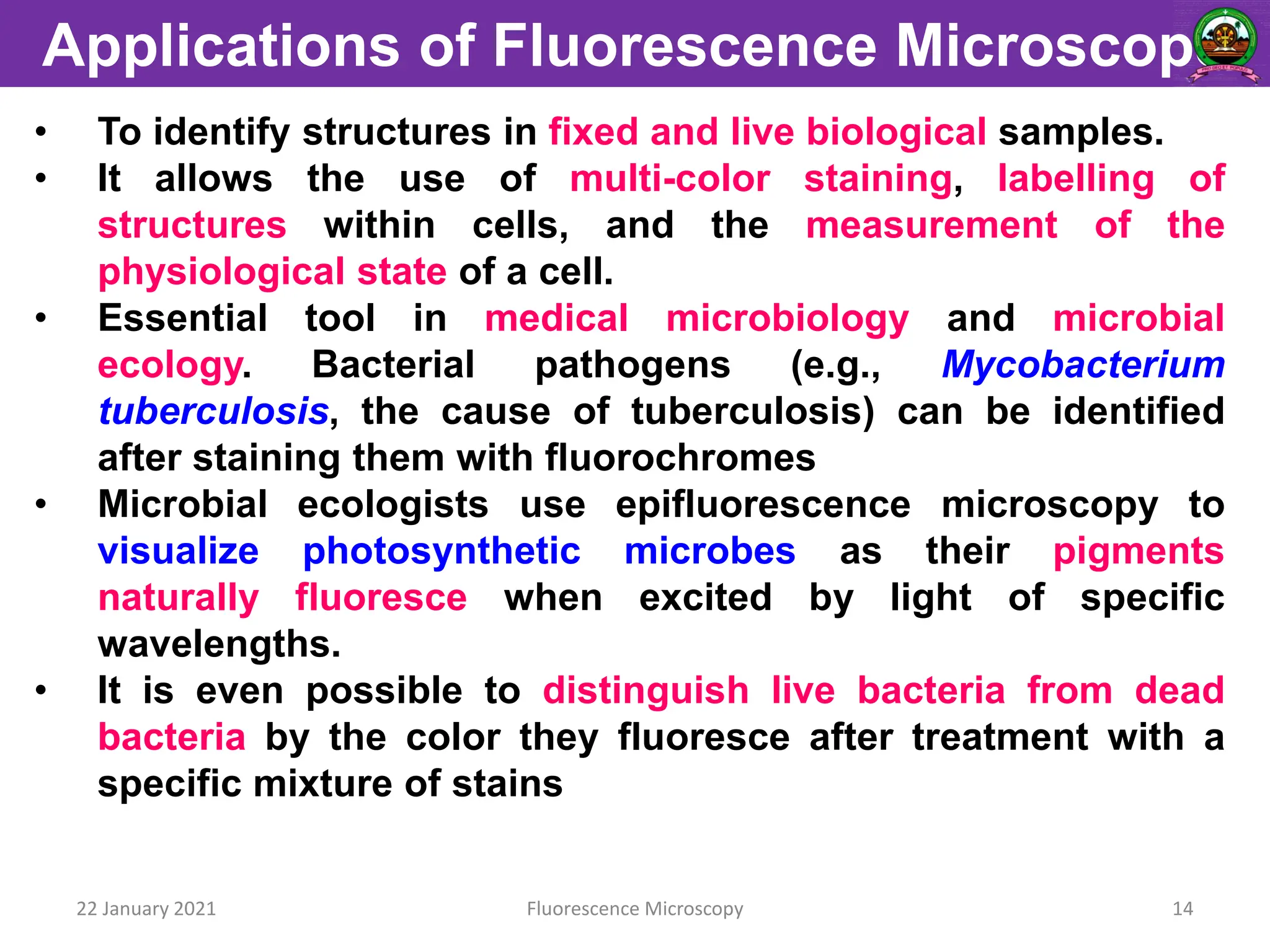 Fluorescence Microscope.pdf fluorescent microscopy | PDF