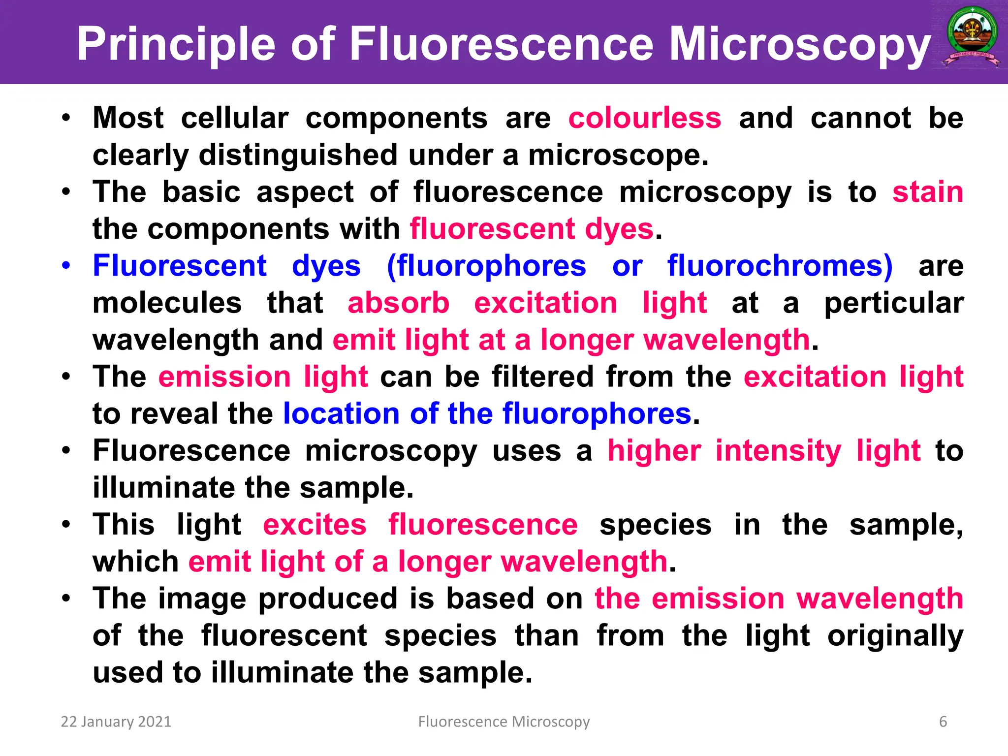 Fluorescence Microscope.pdf fluorescent microscopy | PDF