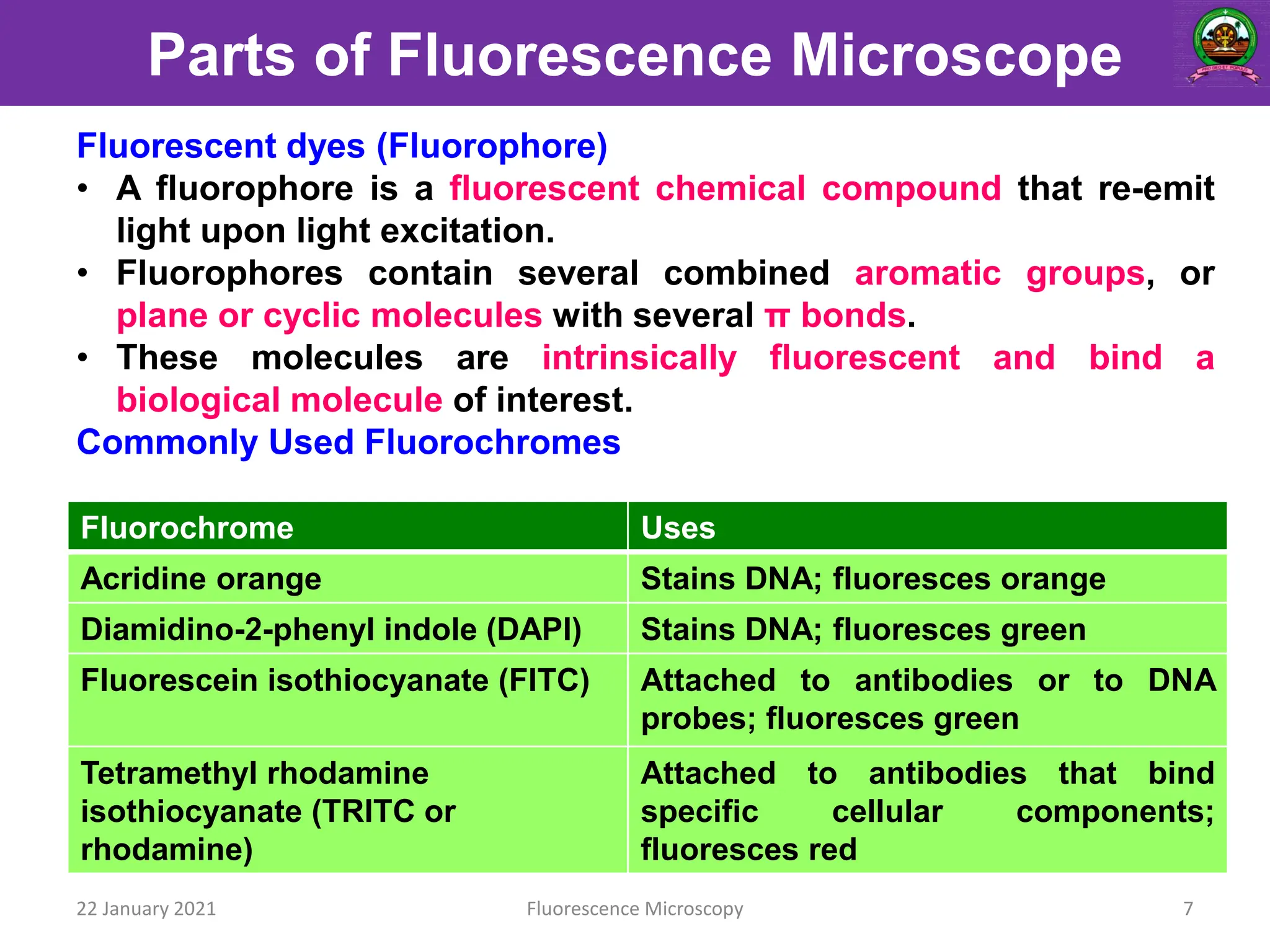 Fluorescence Microscope.pdf fluorescent microscopy | PPT