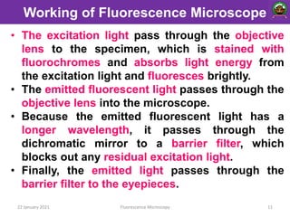 Fluorescence Microscope.pdf fluorescent microscopy | PPT