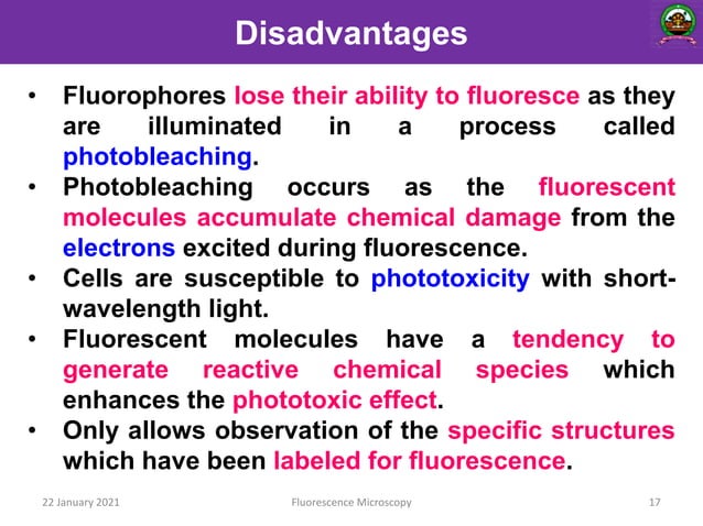 Fluorescence Microscope.pdf fluorescent microscopy | PPT