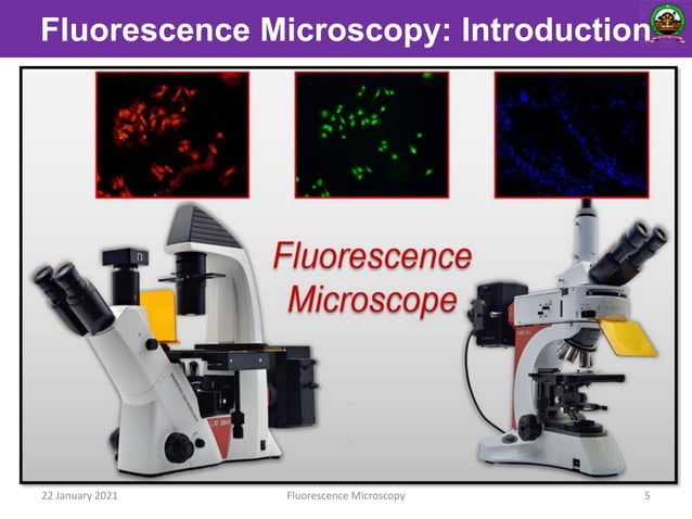 Fluorescence Microscope.pdf fluorescent microscopy | PPT