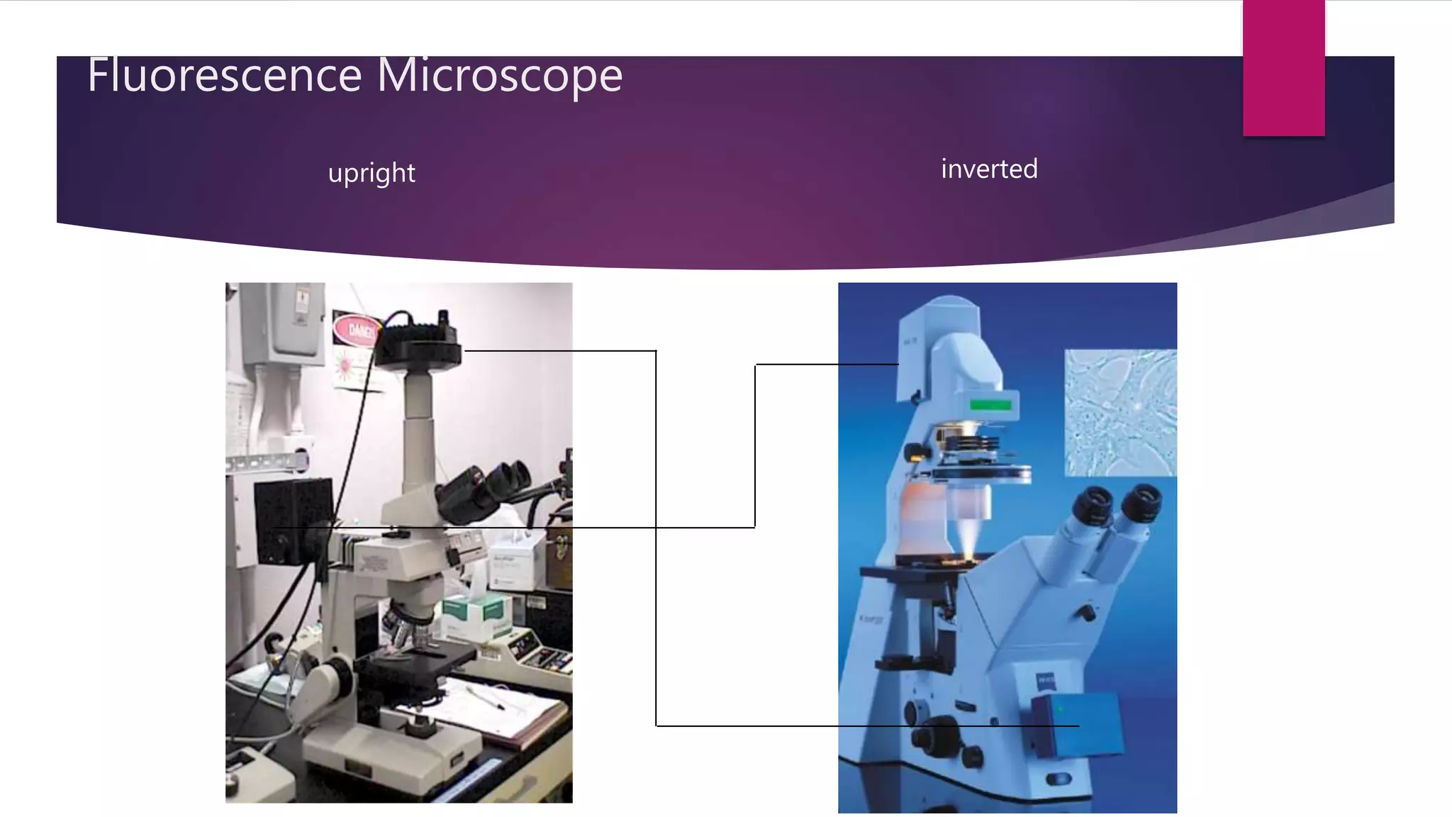 Fluorescence microscope by Subhankar Das | PPTX