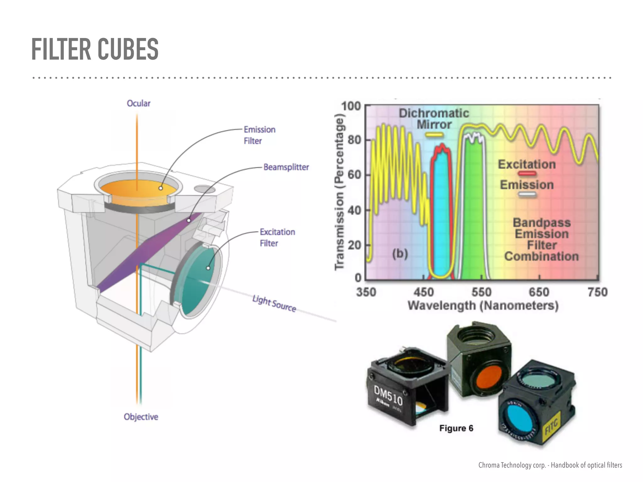 Fluorescence microscopy introduction | PDF