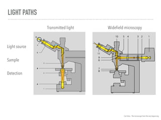 Fluorescence microscopy introduction | PDF