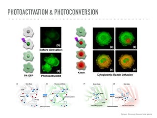 Fluorescence microscopy introduction | PDF