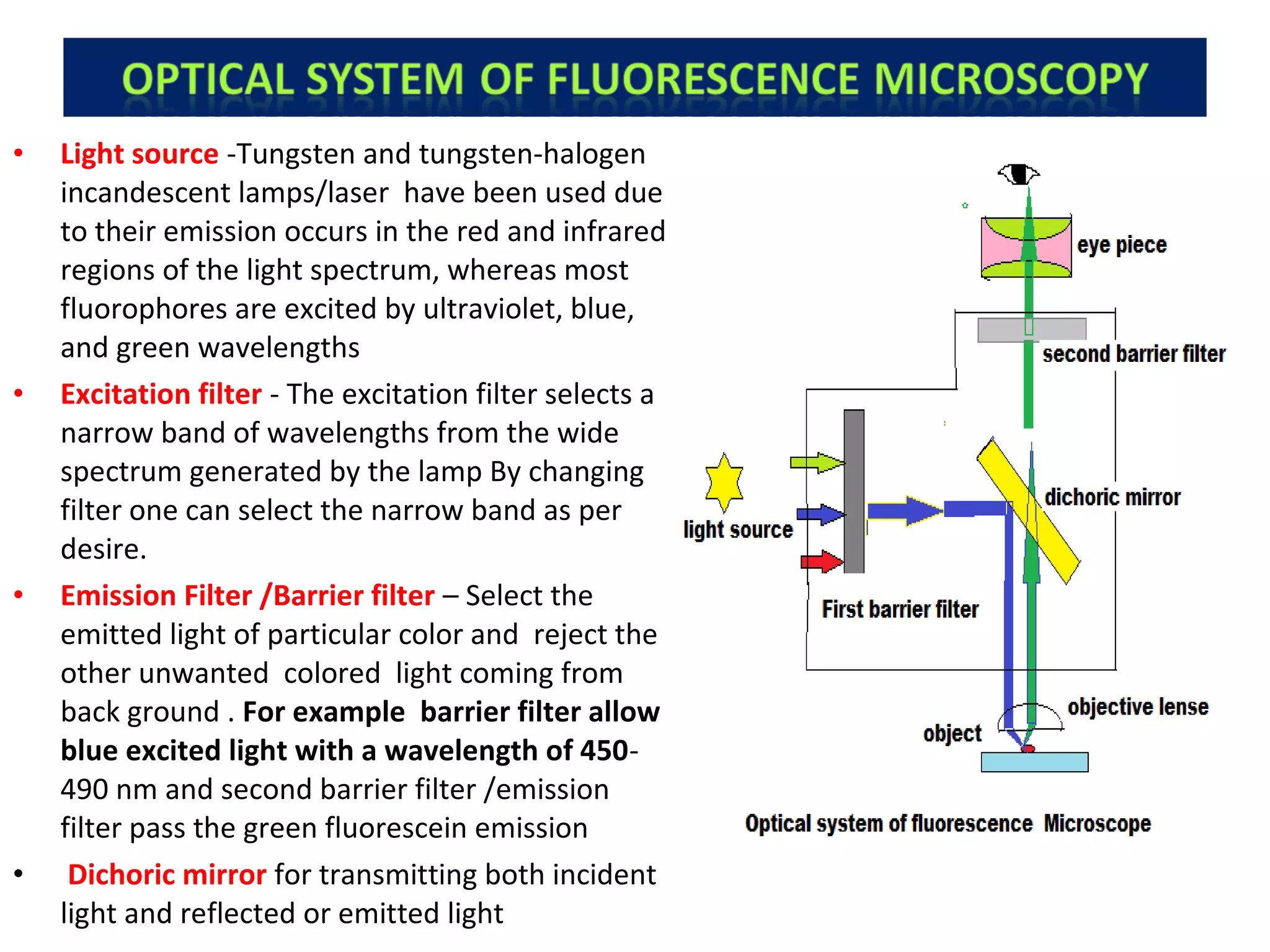 Fluorescence microscopy | PPT