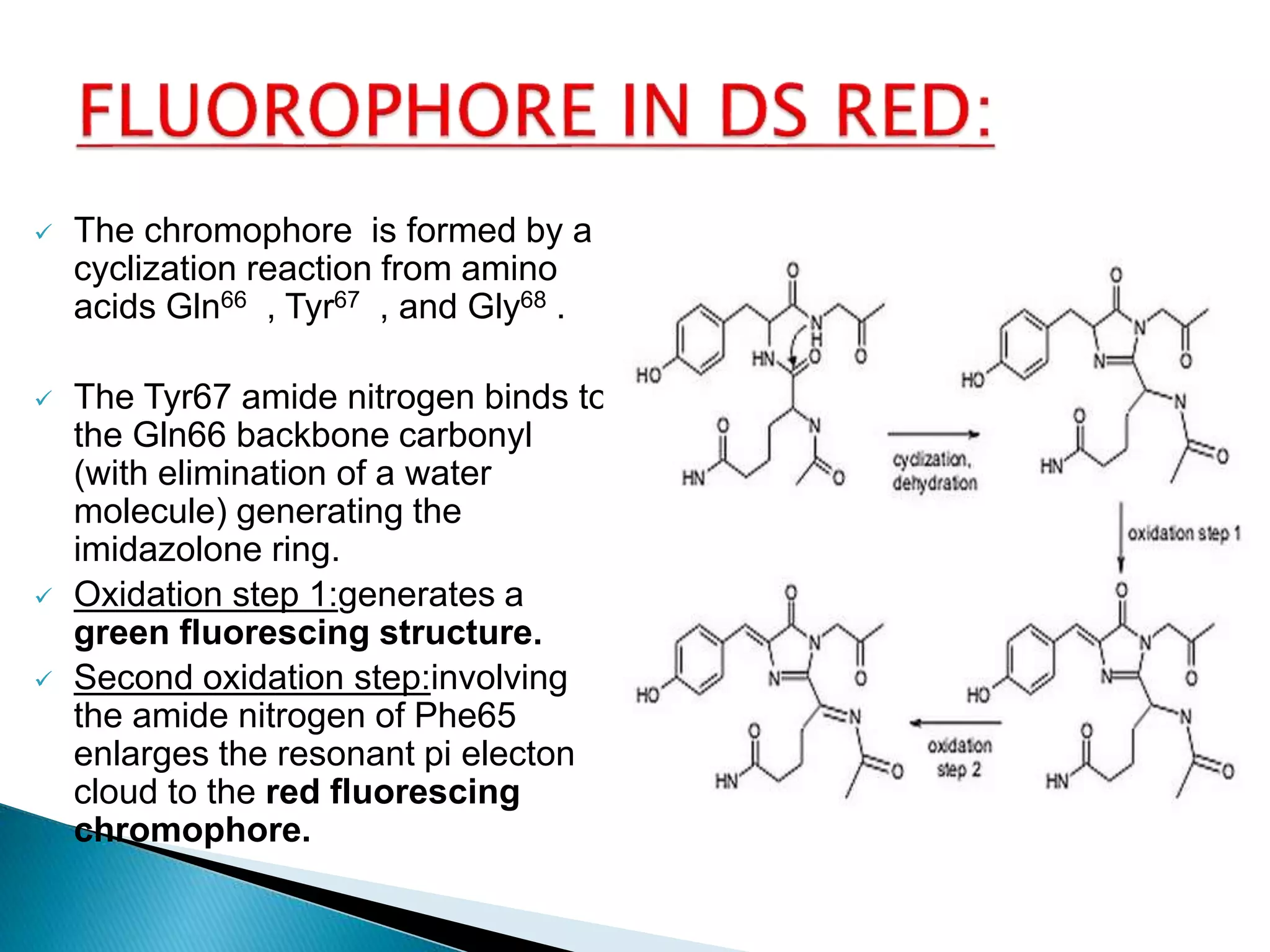 Fluorescence microscopy | PPTX