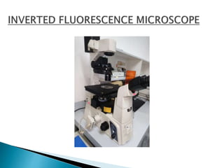 Fluorescence microscopy | PPTX