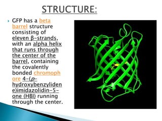 Fluorescence microscopy | PPTX