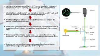 Fluorescence microscopy presentation | PPTX
