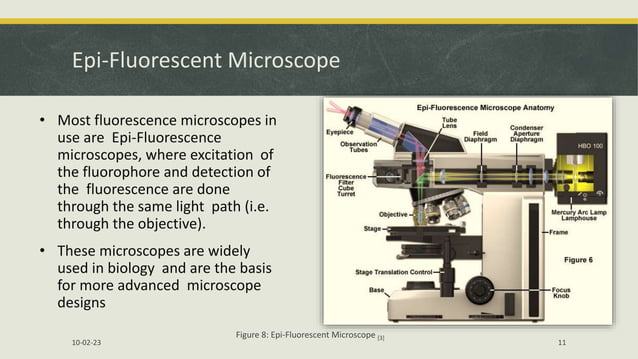 Fluorescence Microscopy | PPT