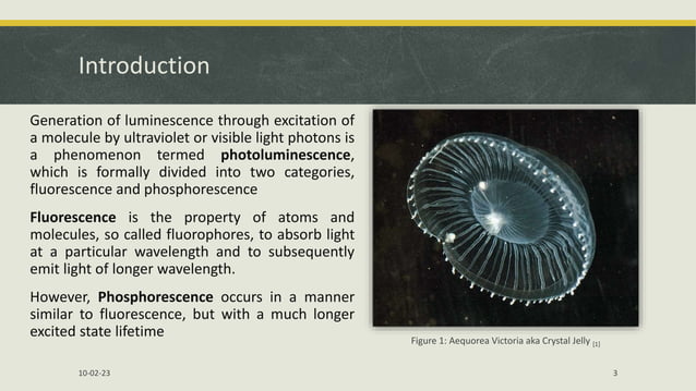 Fluorescence Microscopy | PPT
