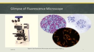 Fluorescence Microscopy | PPT