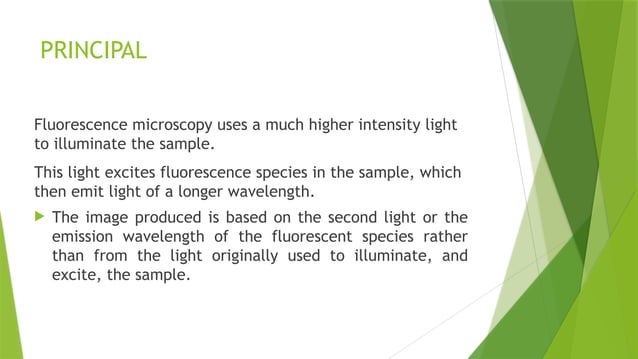 FLUORESCENCE MICROSCOPY fisrt semester.pptx