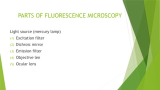 FLUORESCENCE MICROSCOPY fisrt semester.pptx