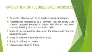FLUORESCENCE MICROSCOPY fisrt semester.pptx