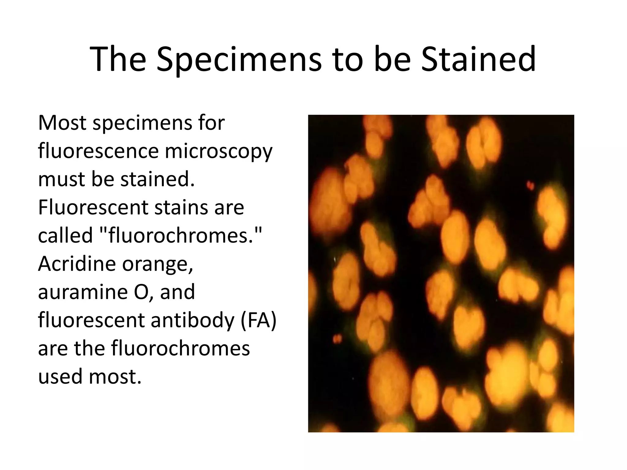 Fluorescence microscopy | PPTX