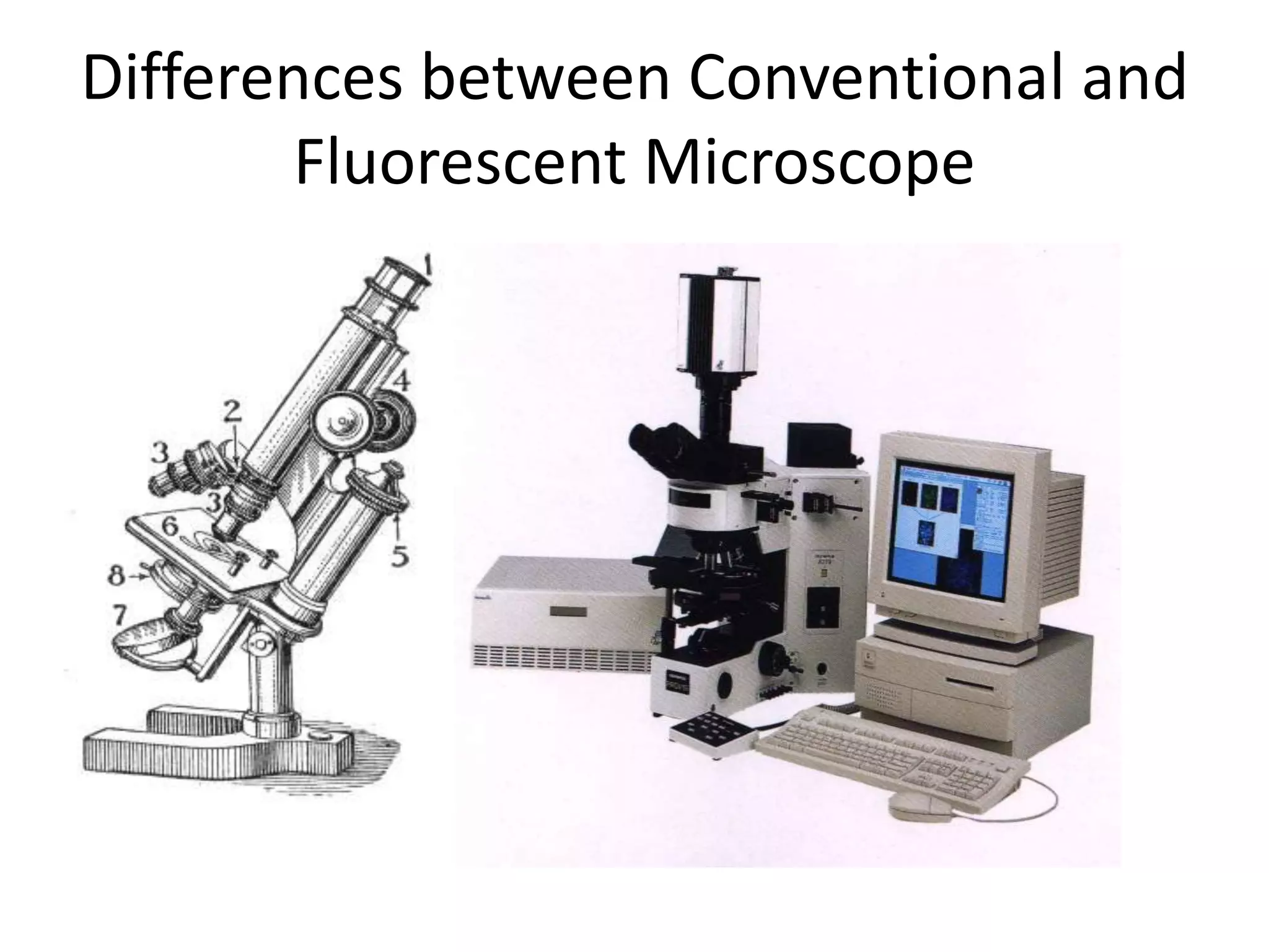 Fluorescence microscopy | PPTX | Chemistry | Science