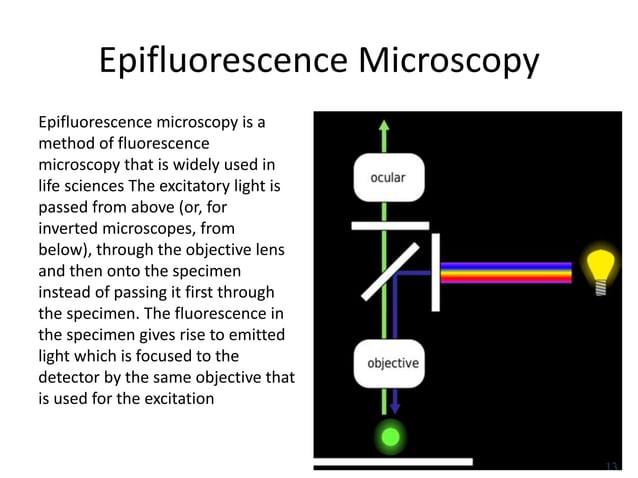 Fluorescence microscopy | PPTX | Chemistry | Science