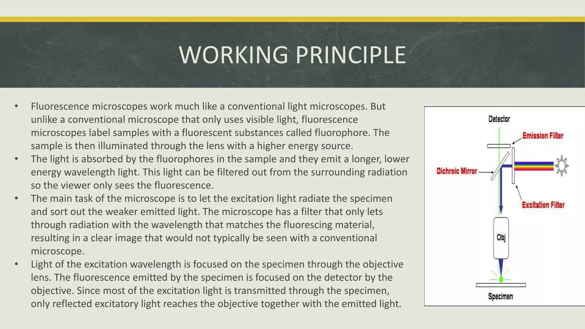 FLUORESCENCE MICROSCOPY .pptx