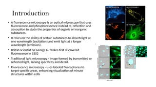 Fluorescence Microscopy Biotechnique ppt | PPT