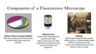 Fluorescence Microscopy Biotechnique ppt | PPT