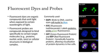 Fluorescence Microscopy Biotechnique ppt | PPTX