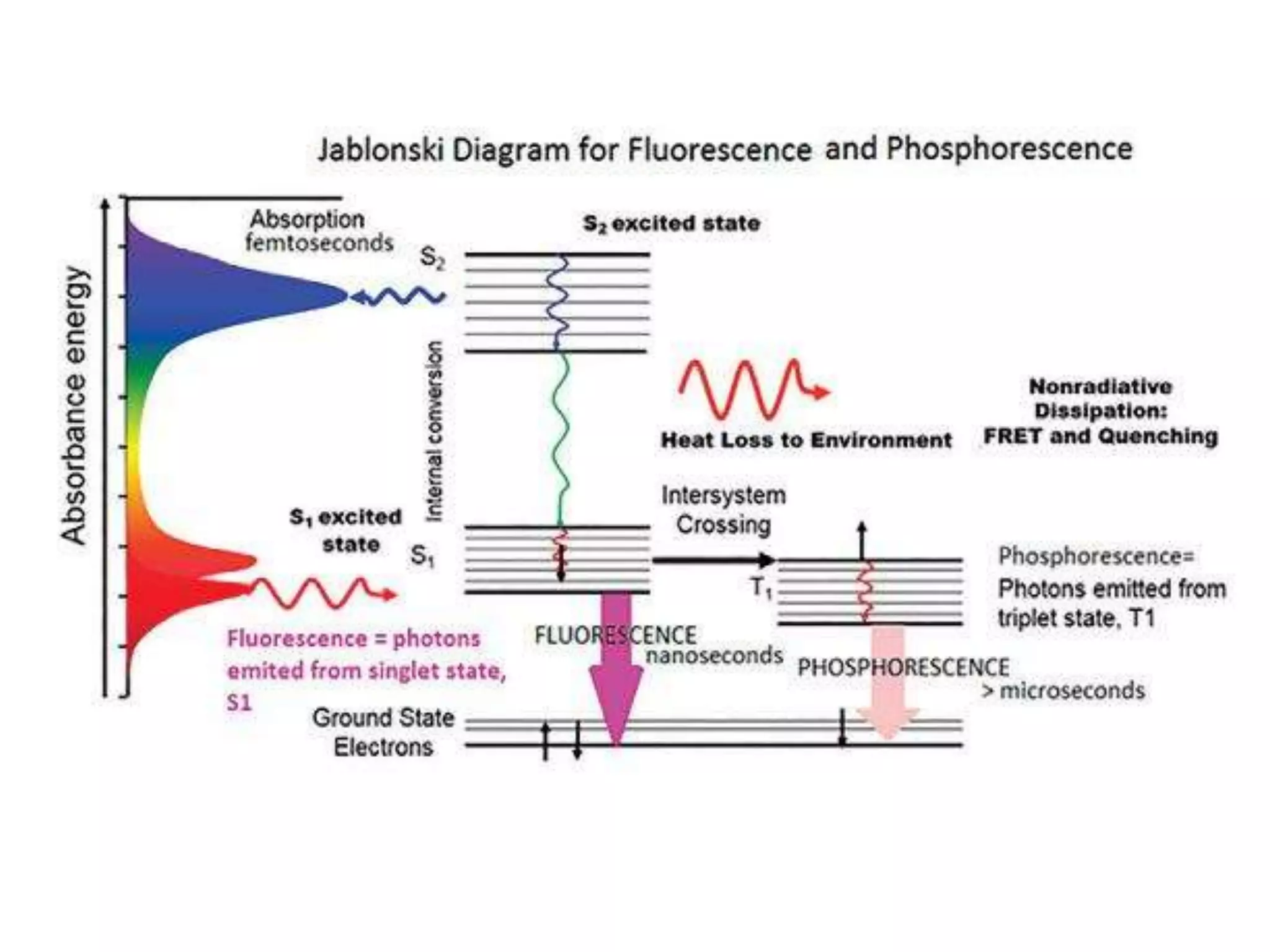Fluorescence spectroscopy | PPTX | Chemistry | Science