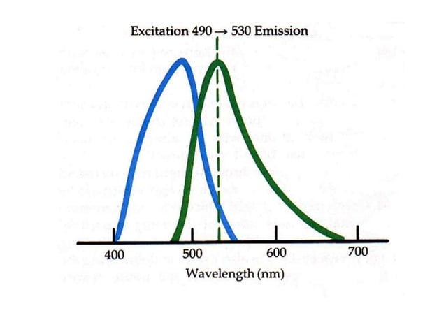 Fluorescence spectroscopy