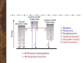 fluorescence spectroscopy_Fluorimetry Analysis | PPT
