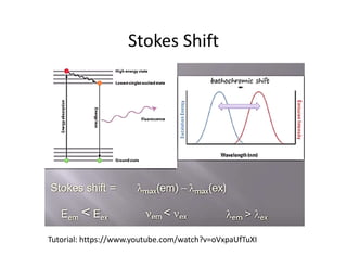 Spectroscopic methods in inorganic Chemistry: Fluorescence spectroscopy ...