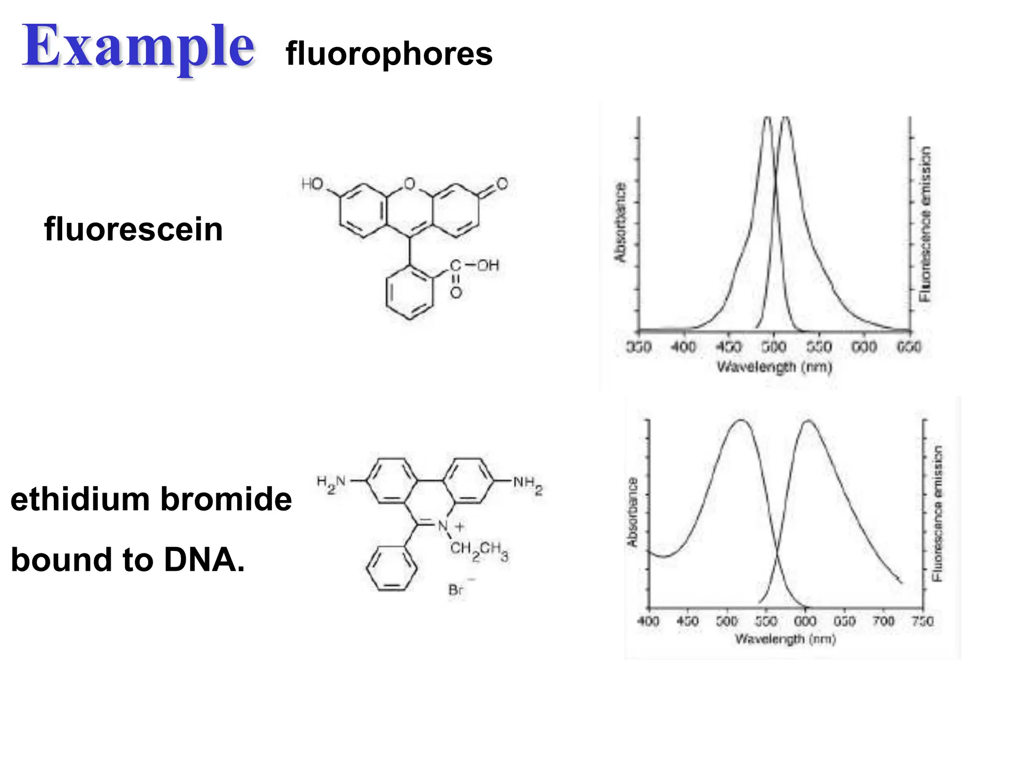 Fluorescence Spectroscopy introduction.ppt