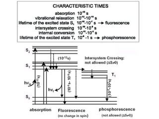Fluorescence Spectroscopy introduction.ppt