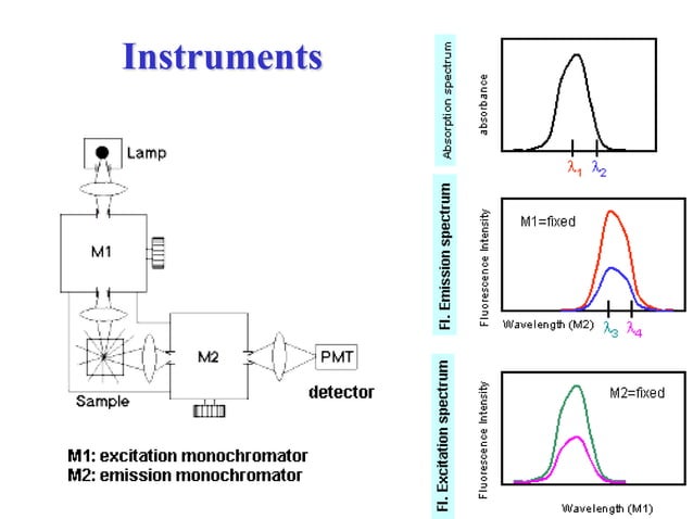 Fluorescence Spectroscopy introduction.ppt
