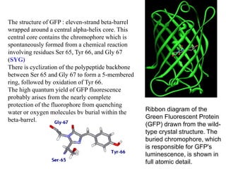 Fluorescence Spectroscopy introduction.ppt
