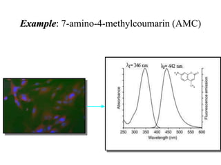 Fluorescence Spectroscopy introduction.ppt