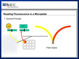 Reading fluorescence with a microplate reader | PPT