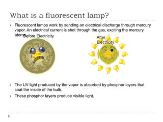 Choosing Fluorescent Bulbs | PPT