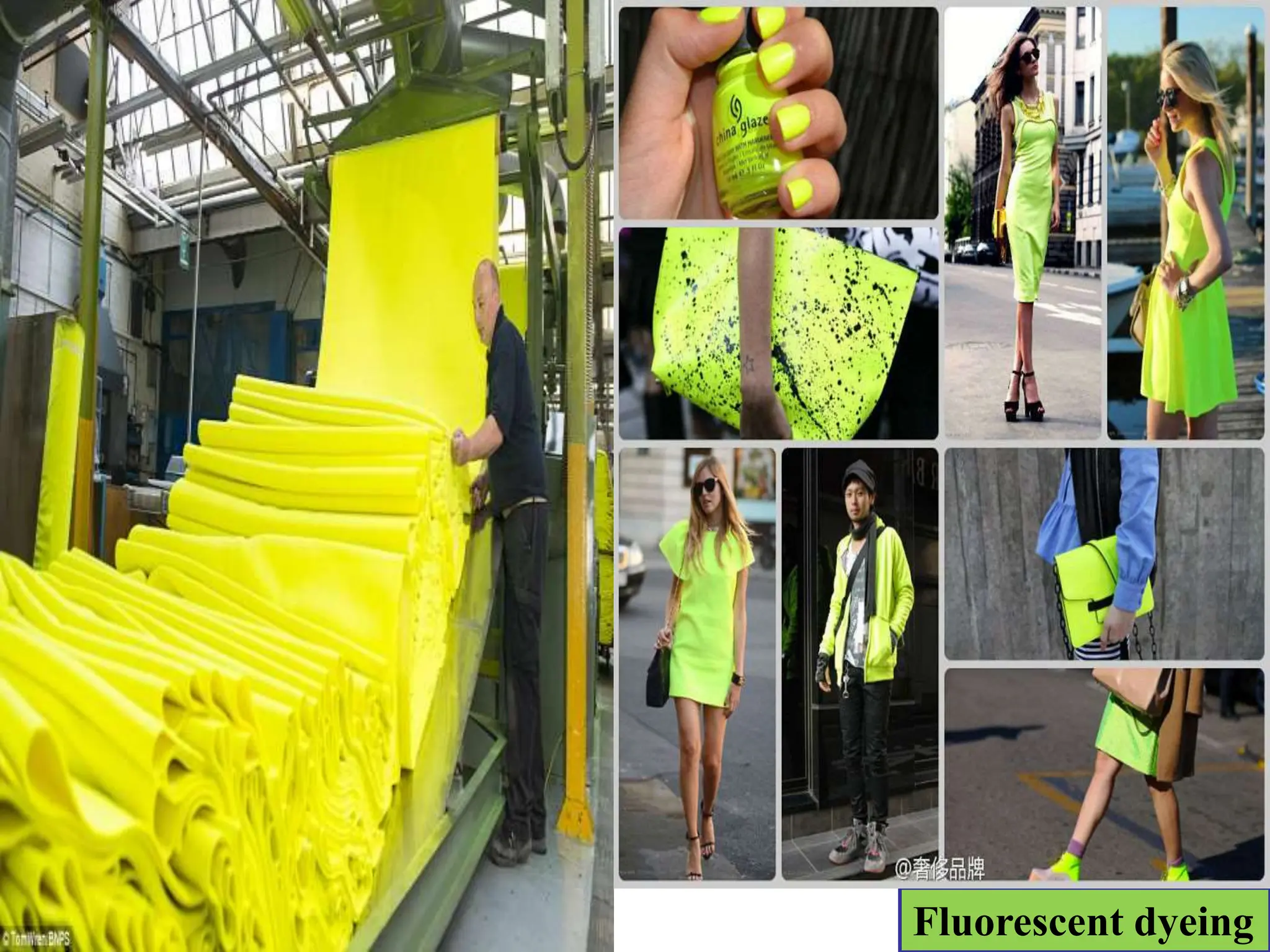Fluorescent dyeing is a Kind of advance dyeing system pptx | PPTX