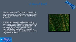 Fluorescent In-Situ Hybridization PDF.pdf