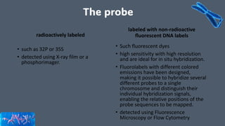 Fluorescent In-Situ Hybridization PDF.pdf