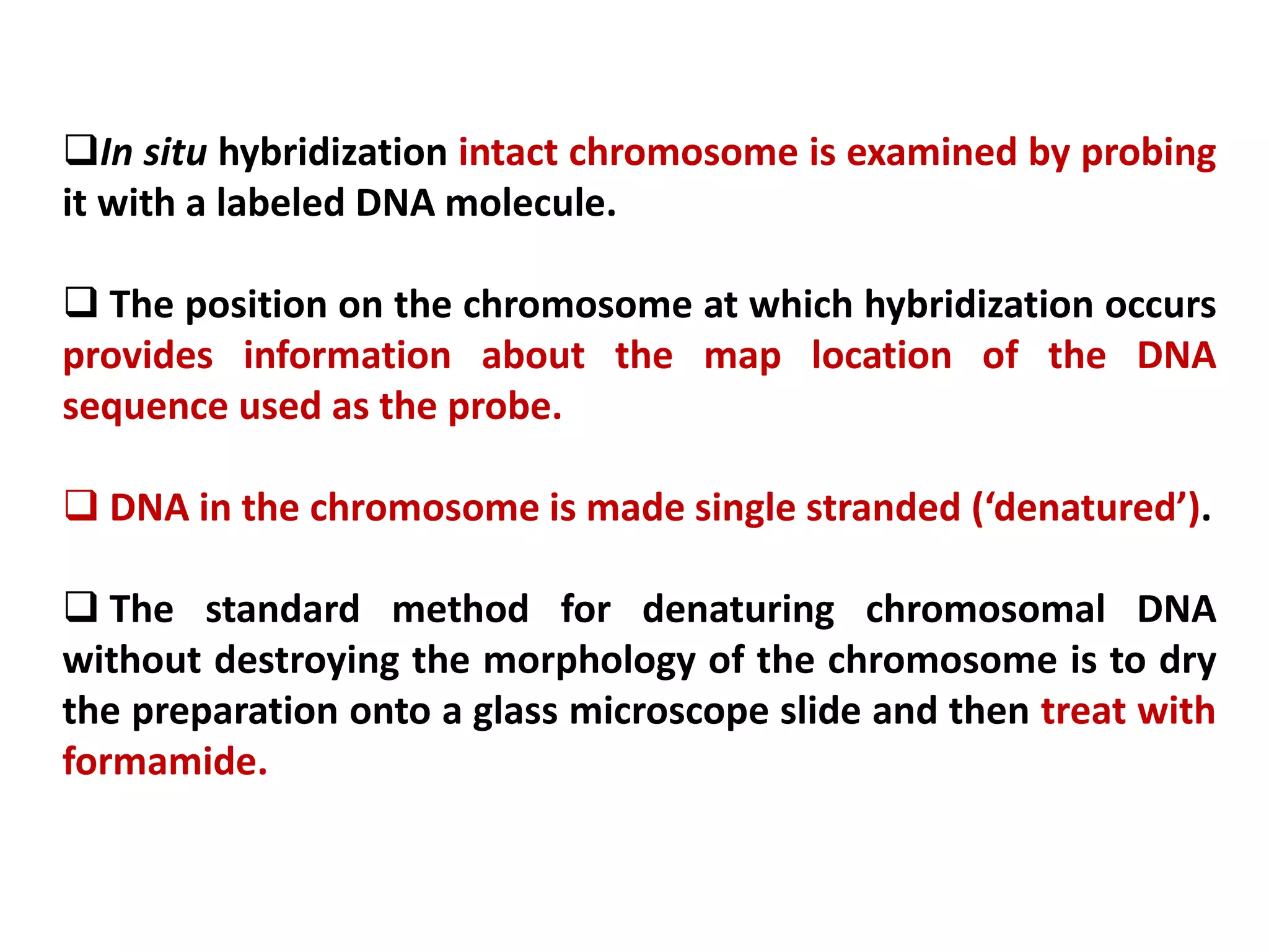 Fluorescent in situ hybridization technique | PPTX