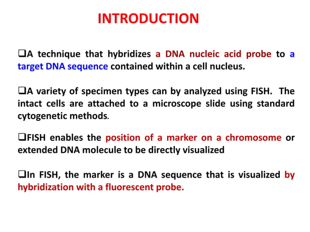Fluorescent in situ hybridization technique | PPTX | Biological ...