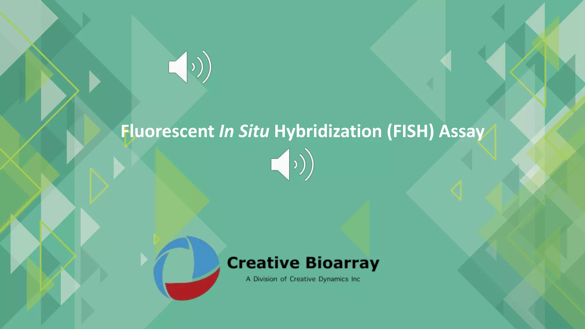 Fluorescent in situ hybridization (fish) assay | PPTX