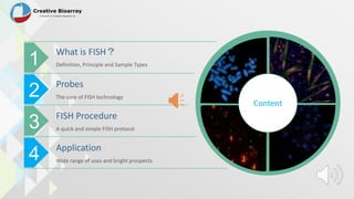 Fluorescent in situ hybridization (fish) assay | PPTX