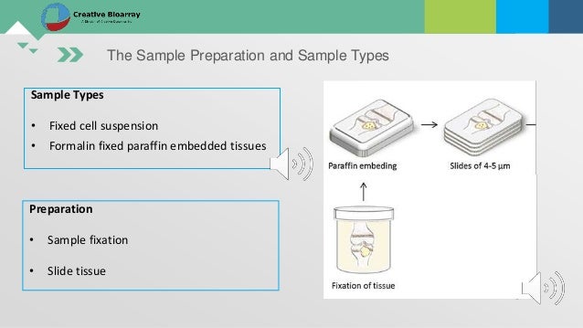 Fluorescent in situ hybridization (fish) assay